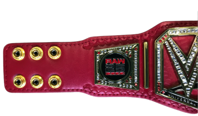 VIPrize - Win a WWE Universal Championship title with handover at a meet a