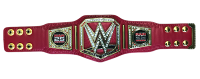 VIPrize - Win a WWE Universal Championship title with handover at a meet a